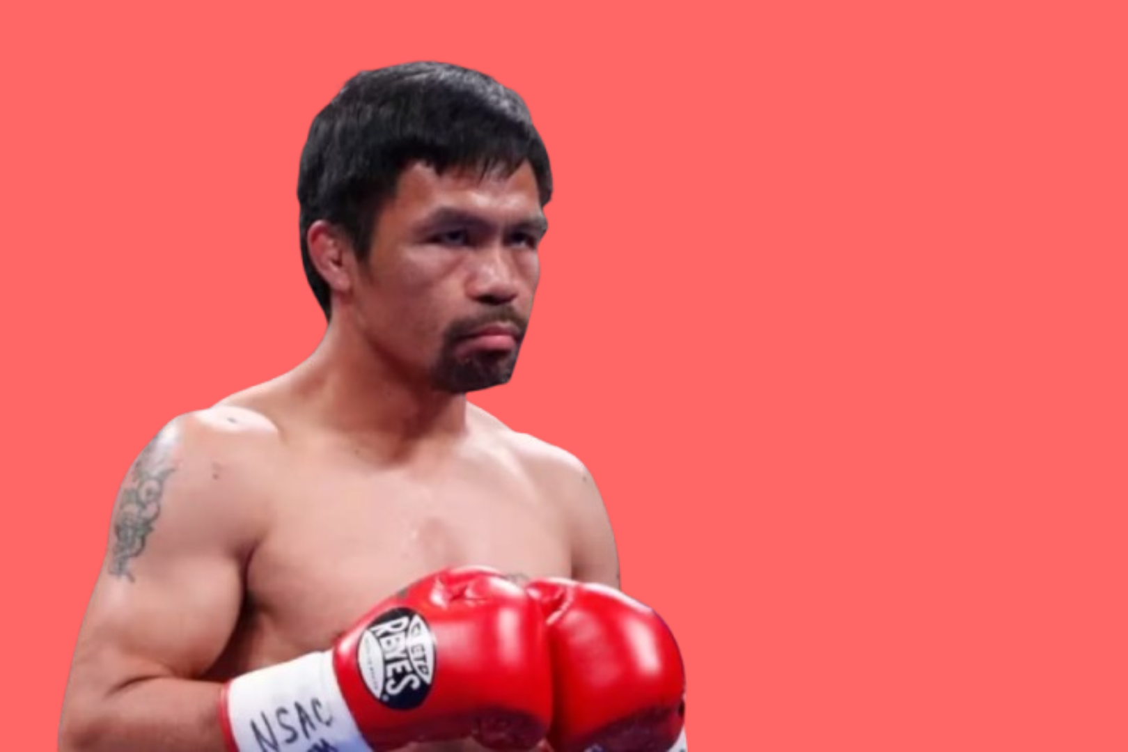 FOR_ARTICLES_-_2025-02-11T213750.778_06595c86-5637-487f-ae17 ...