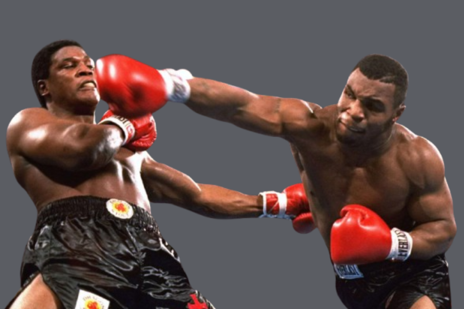 FOR_ARTICLES_-_2025-02-13T210153.160.png?v=1739451733