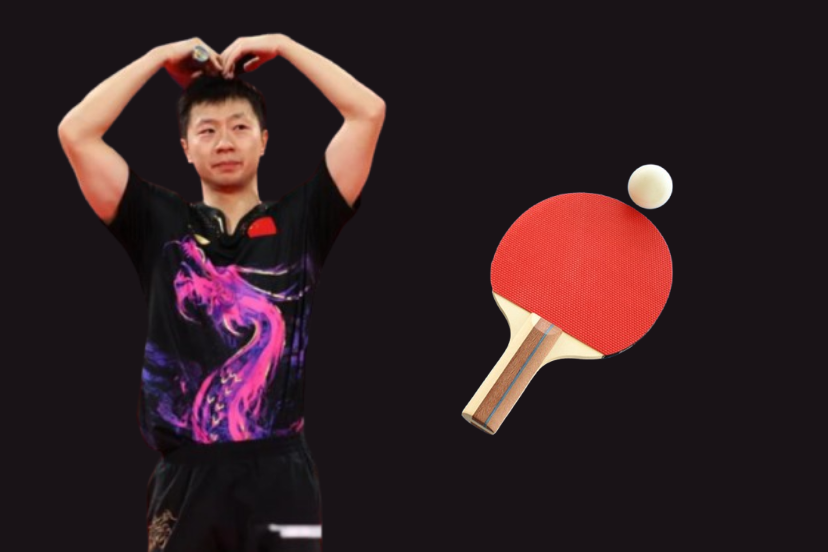 the top 10 best men s table tennis players of all time by jayson ...