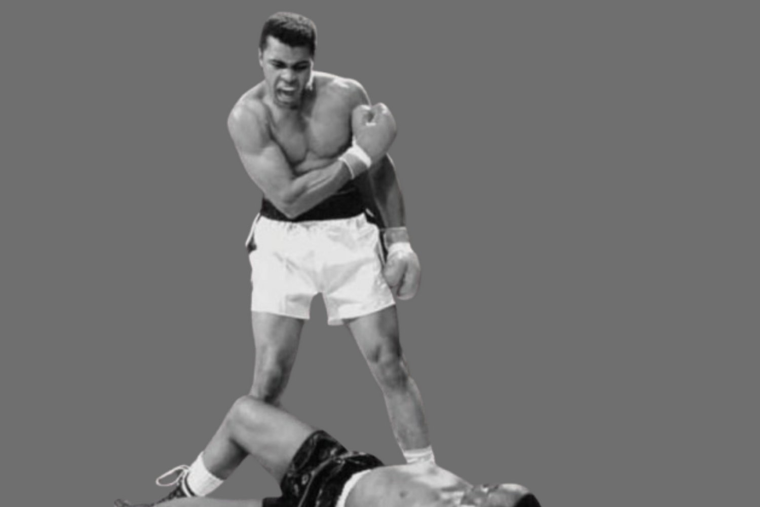 muhammad ali the life and legacy of a boxing legend by arslan saleem ...