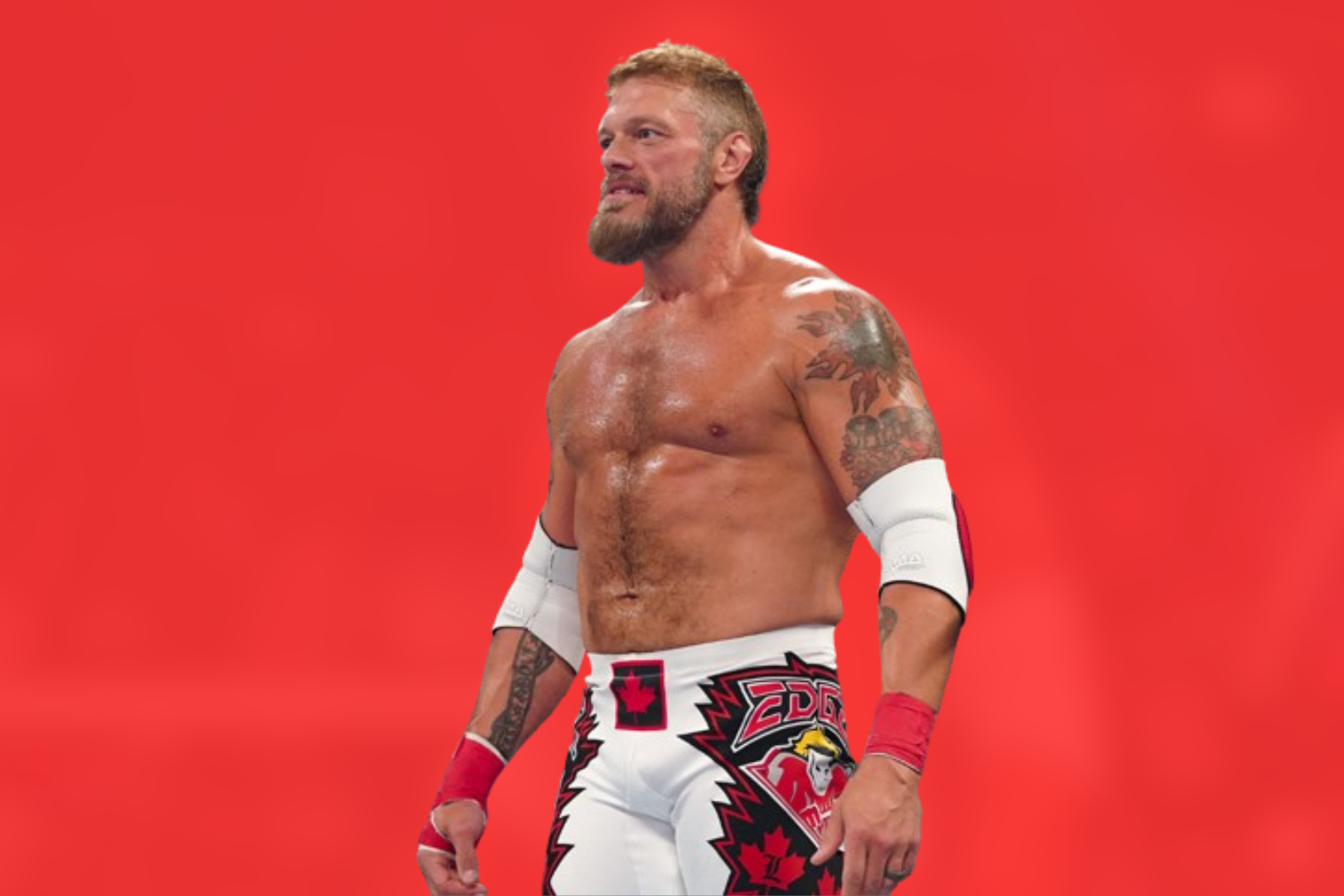 FOR_ARTICLES_14_eca99ab0-675b-445c-ac3b-73e8df152a32.png?v=1737195977