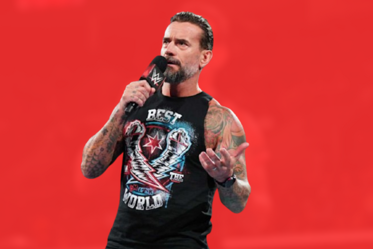 what is cm punk s net worth in 2024 by ali hammad march 25 2024 05 : 05