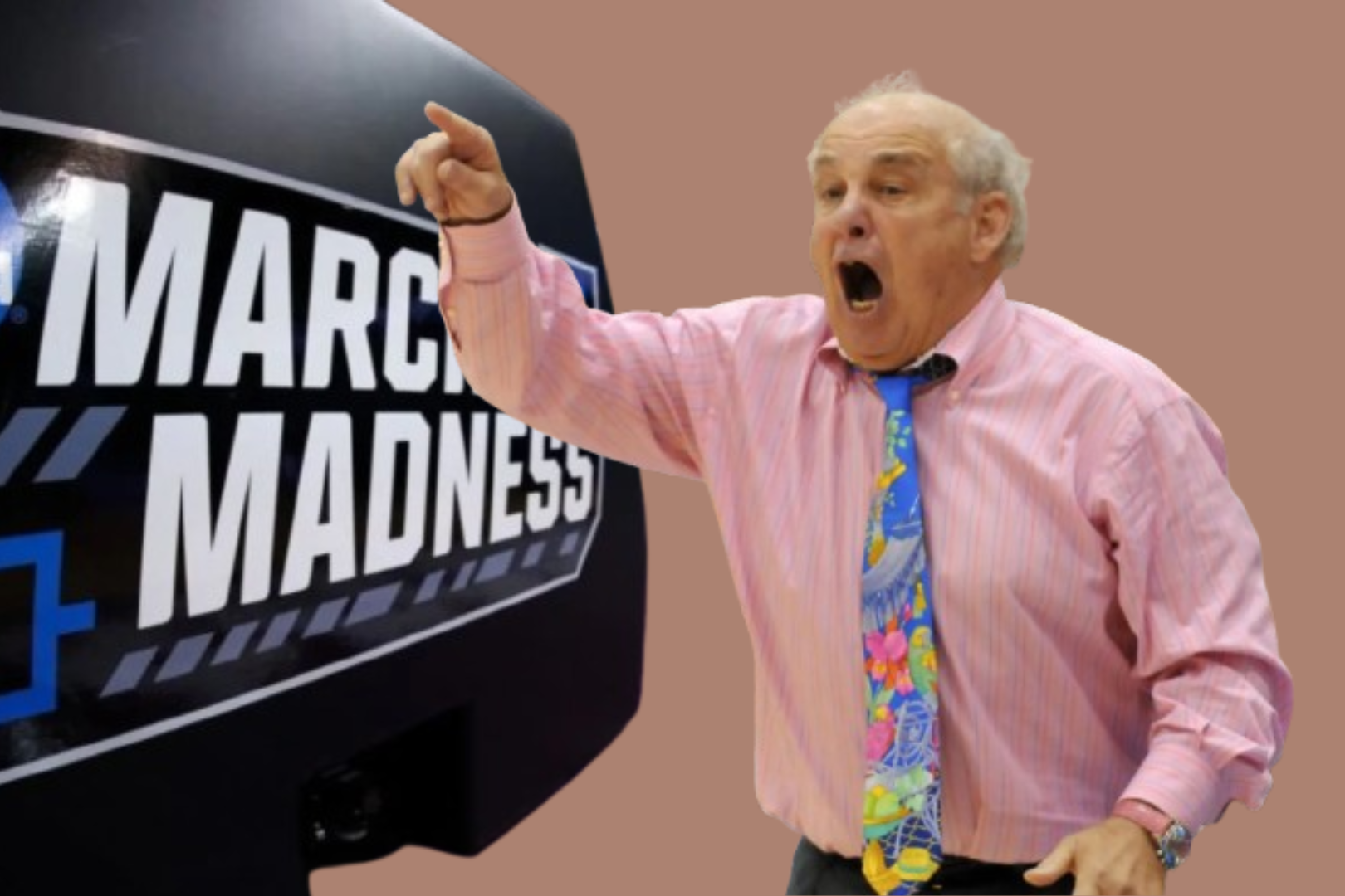 FOR_ARTICLES_20_7355a051-86cd-4fa9-be03-3c1ae825de7f.png?v=1739151371