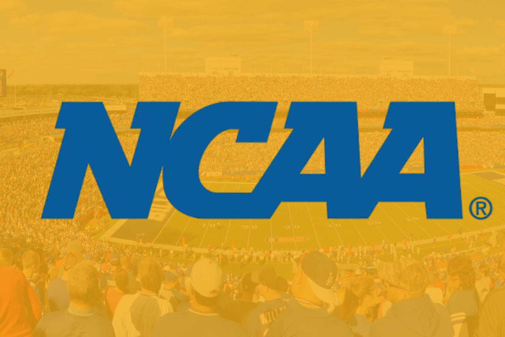 FOR_ARTICLES_43_98d2d4a1-a4a0-4e52-a29e-f24d3db720a9.png?v=1738080807