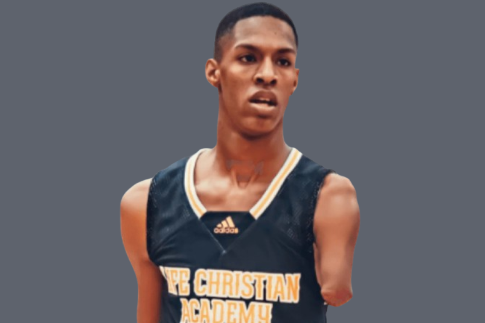 FOR_ARTICLES_59_afa12043-437b-4a55-b728-07a2b8986525.png?v=1739195665