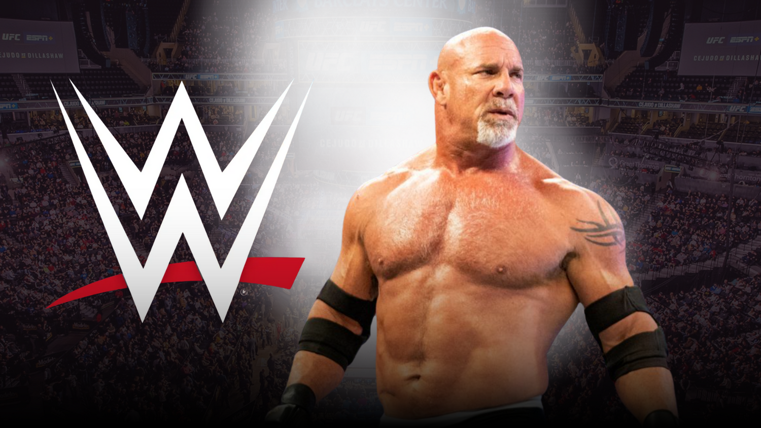 wwe legends in 2025 where are they now and who s making a comeback by ...